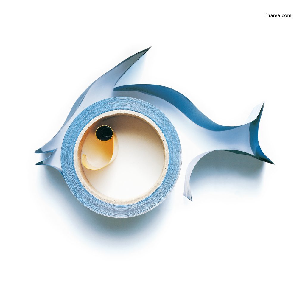 PPP – Inarea