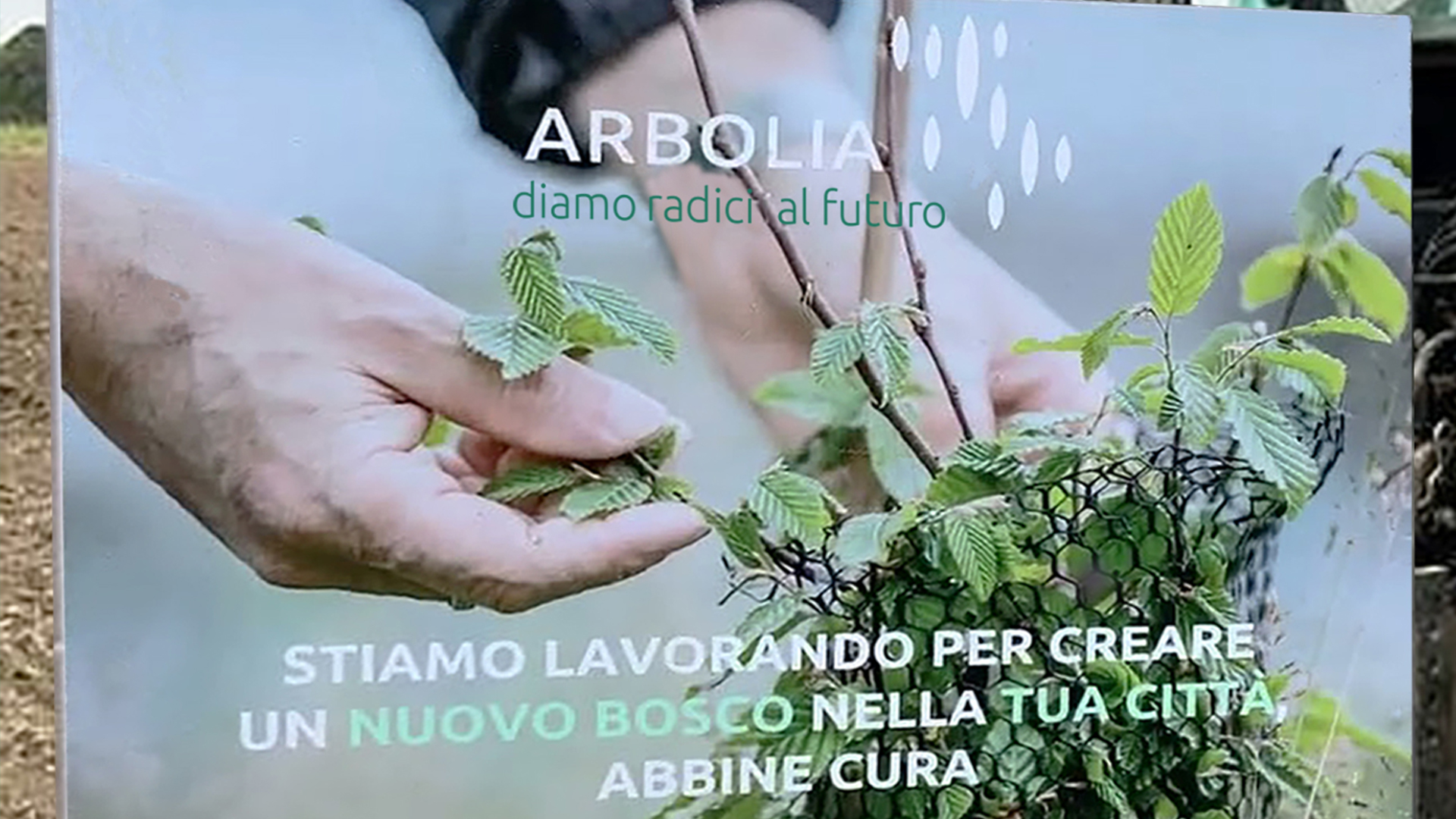 Arbolia – Inarea